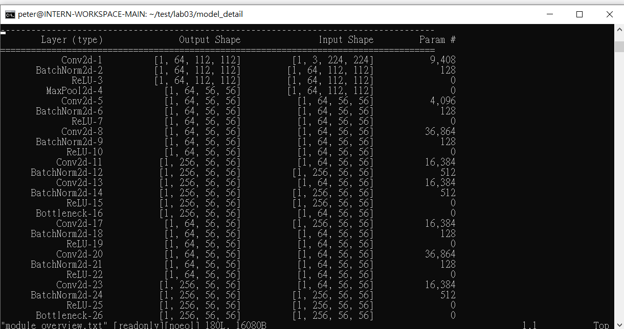 Github J30393 Executorch Model Analysis