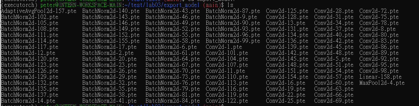 Github J30393 Executorch Model Analysis